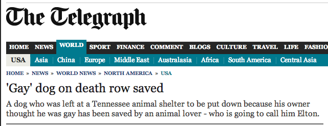 What A Gay Dog Can Teach Us About Viral Content