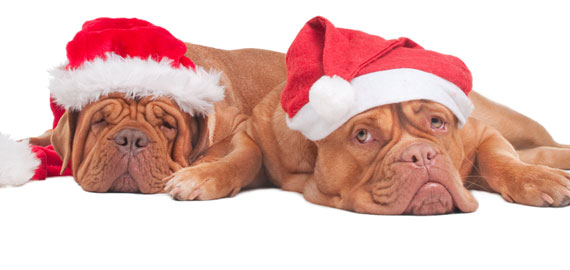 How Ad Retargeting Ruined Christmas