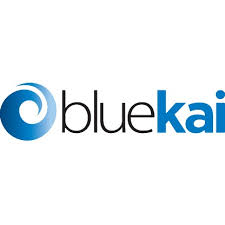 Oracle To Buy BlueKai, Adding A Data Management Platform To Its ...