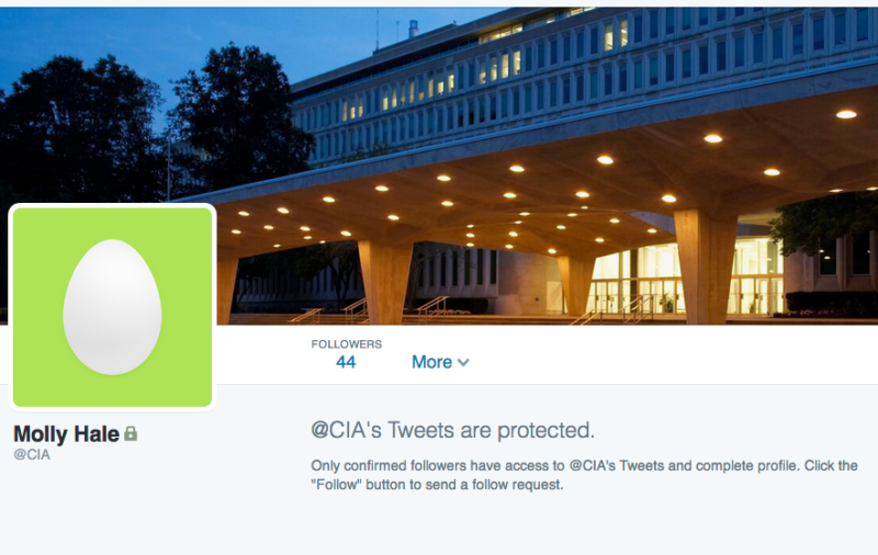 The CIA Joins Twitter, Jokingly Refuses To Confirm First Tweet