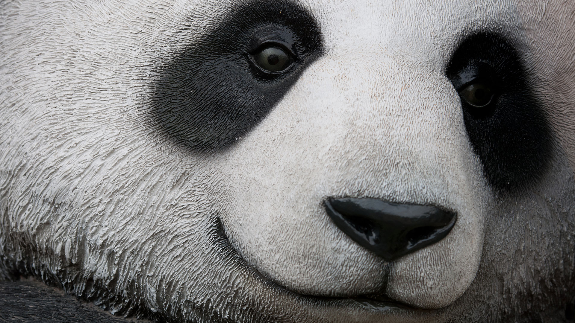 Google Rolling Out New Panda Update Designed To Penalize Websites With ...