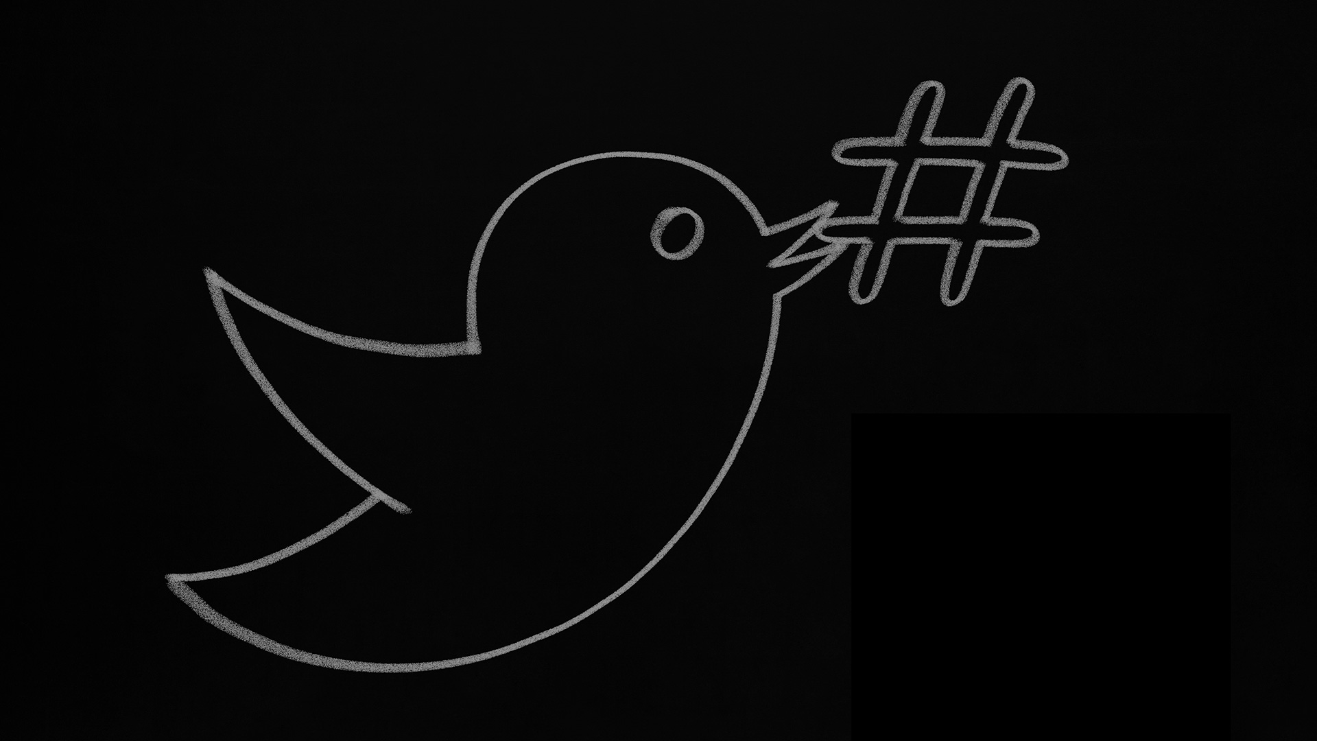 Twitter Publish: Twitter’s New Tool For Embedding Tweets
