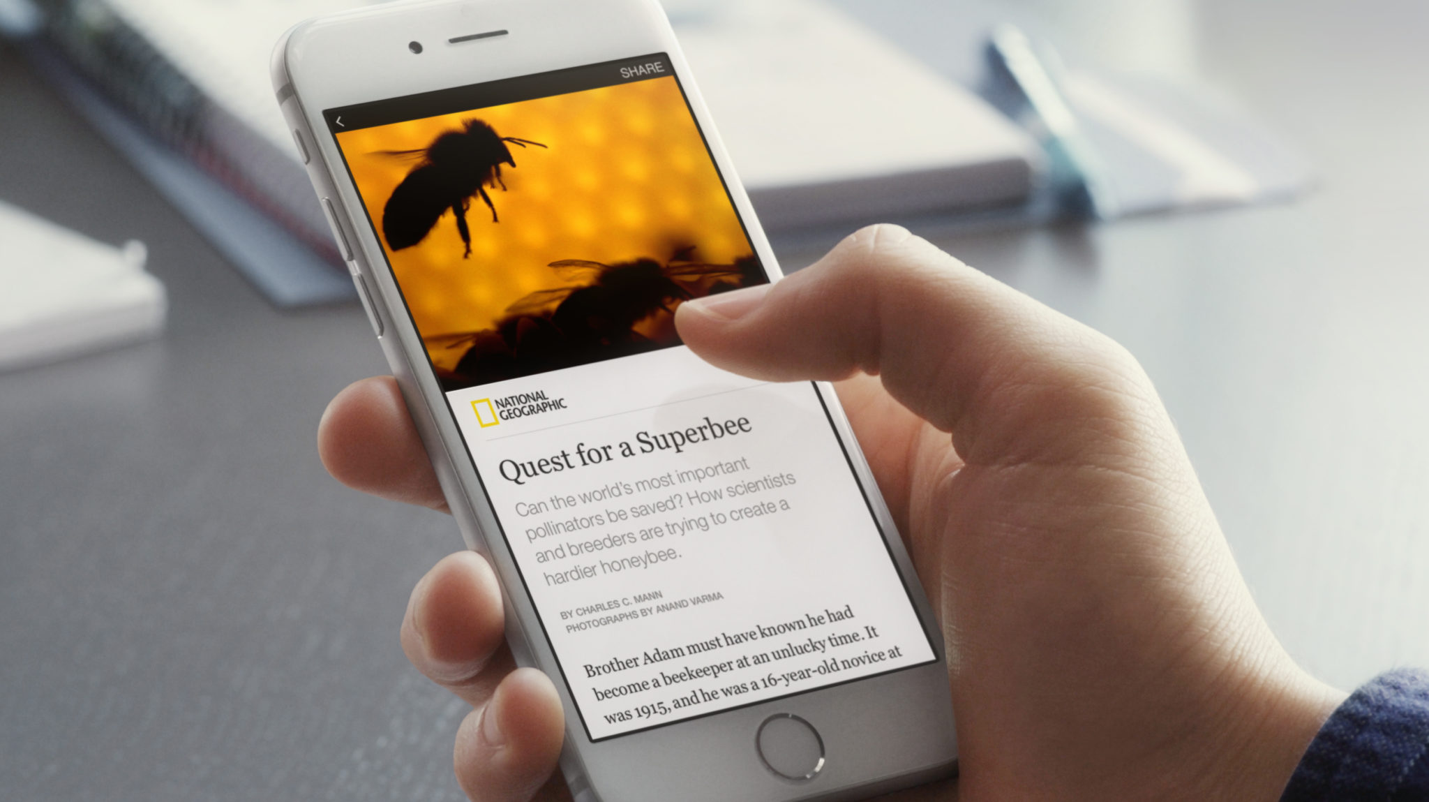 Facebook Brings The New York Times, BuzzFeed And Others On Board With ...