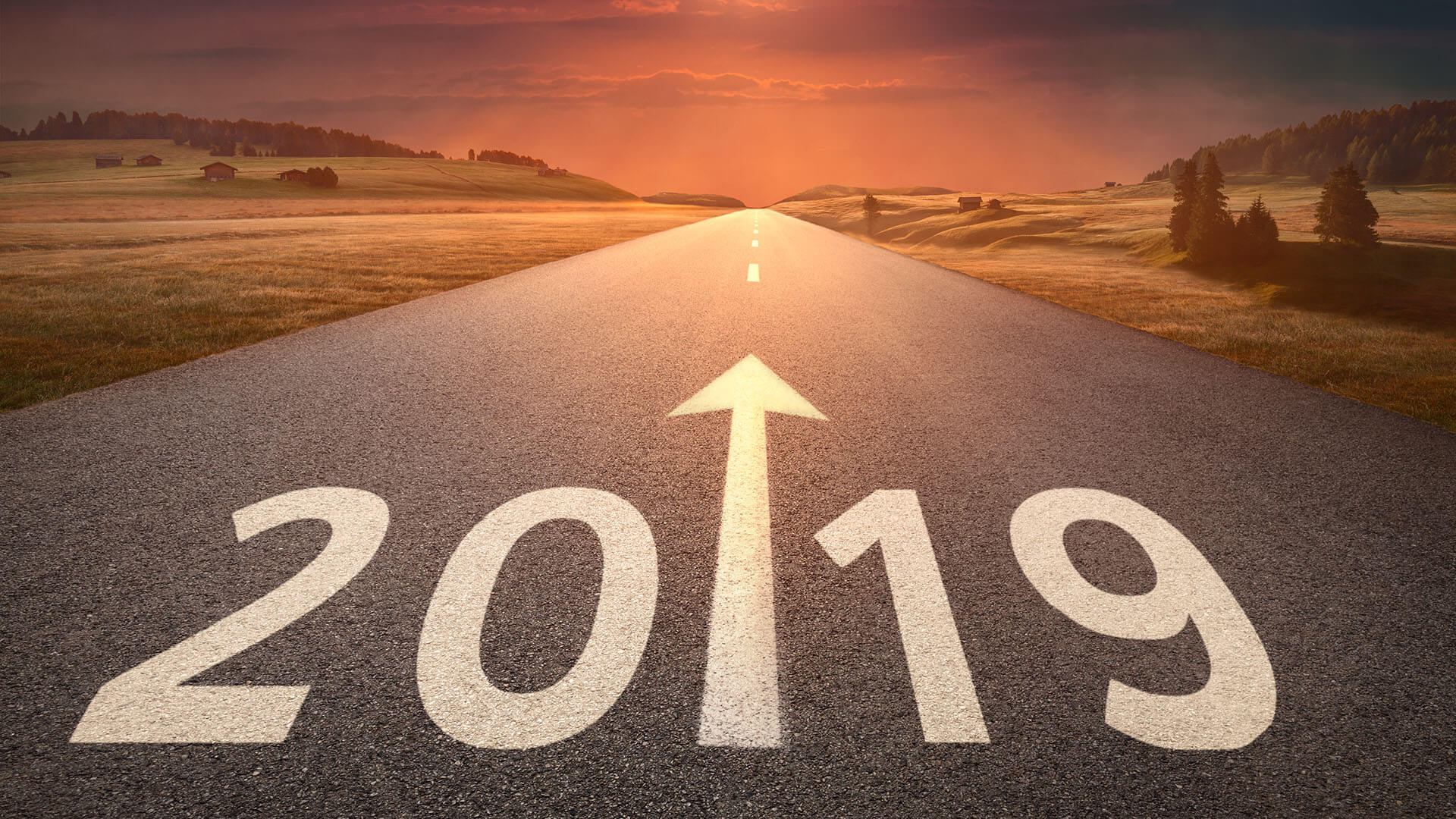 20 expert predictions: Here's what successful marketers will do in 2019