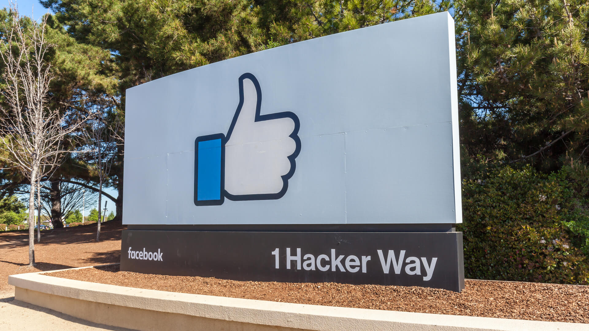 Facebook hires former Google, Microsoft director to lead PR Facebook hires former Google, Microsoft director to lead PR